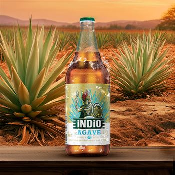 Indio Agave